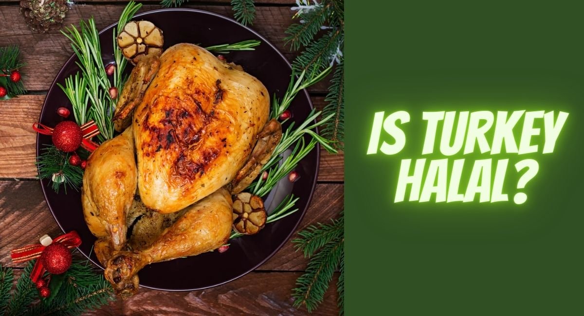 Is Turkey Halal The Ultimate Guide 2023 HalalHaramWorld Is Turkey Halal The Ultimate Guide 2023 HalalHaramWorld