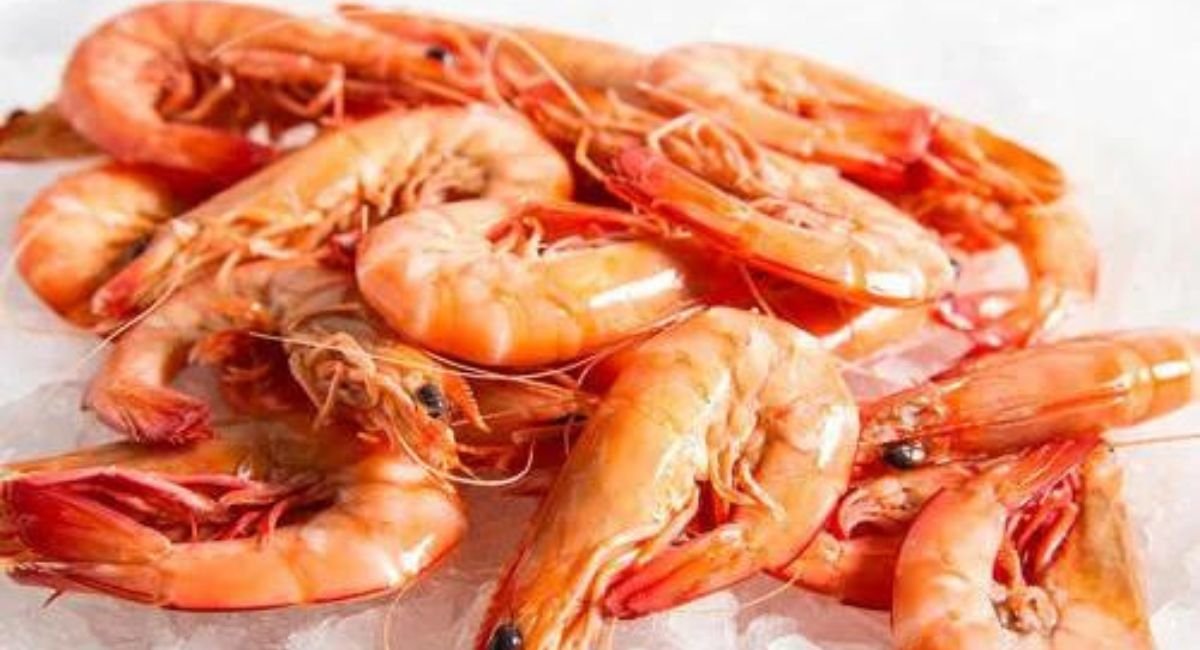 A Detailed List Of Halal Seafood In Islam