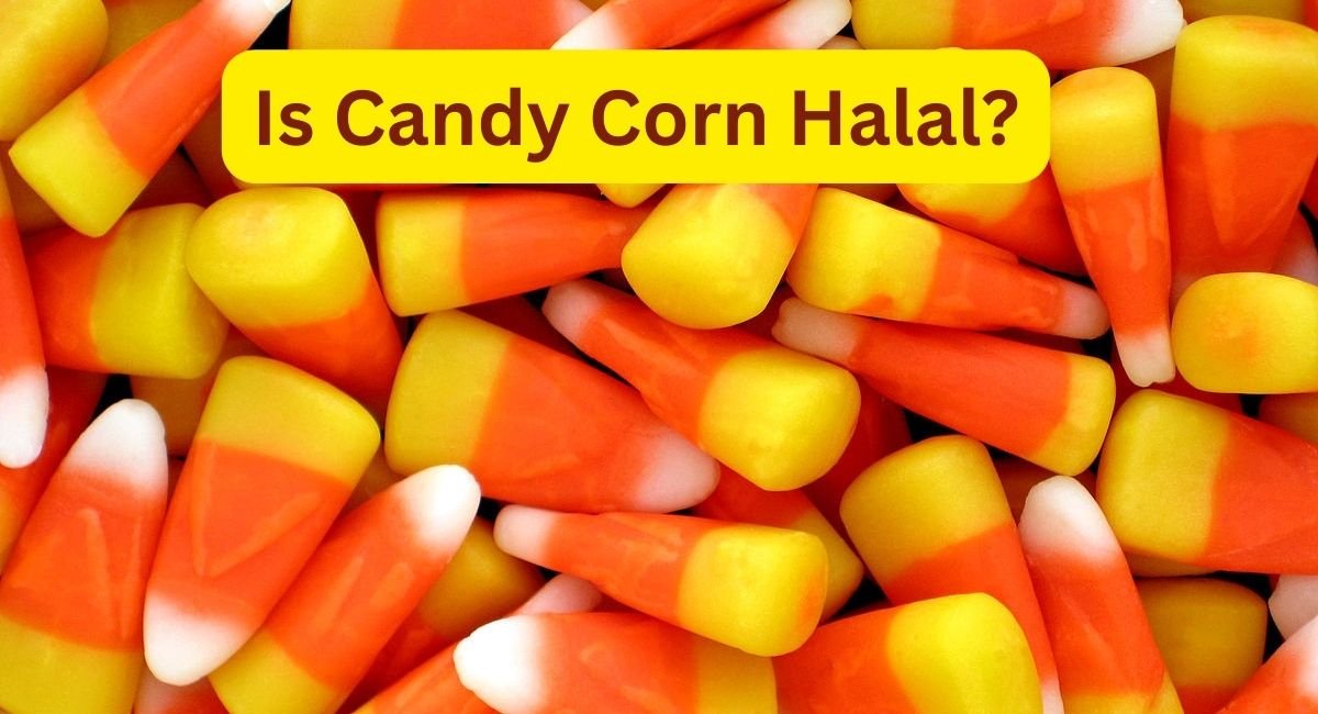 Is Candy Corn Halal Is Candy Corn Halal