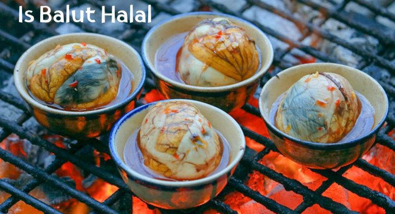 Is Balut Halal?