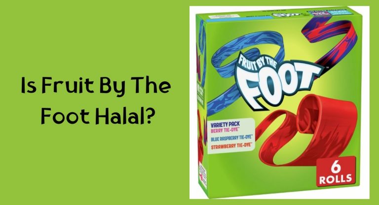 A Delectably Detailed List Of Halal Cheese
