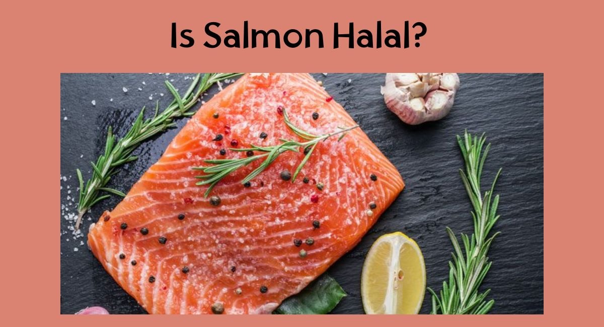 Is Salmon Halal Or Haram Is Salmon Halal Or Haram
